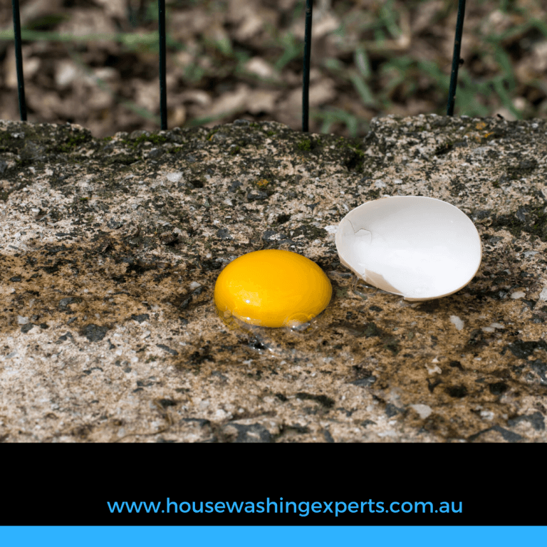 4 Best Ways to Wash Egg off for Good! | House Washing Experts